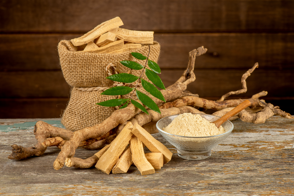 Can You Take Tongkat Ali Long Term Dorado Nutrition Can You Take Tongkat Ali Long Term Dorado Nutrition